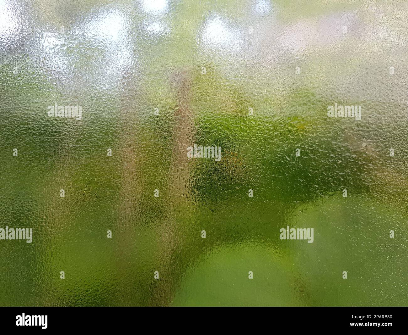 Foggy window glass with raindrops and green nature background Stock ...
