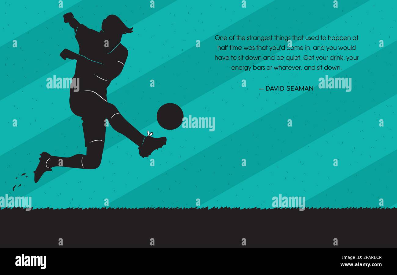 David seaman poster hi-res stock photography and images - Alamy