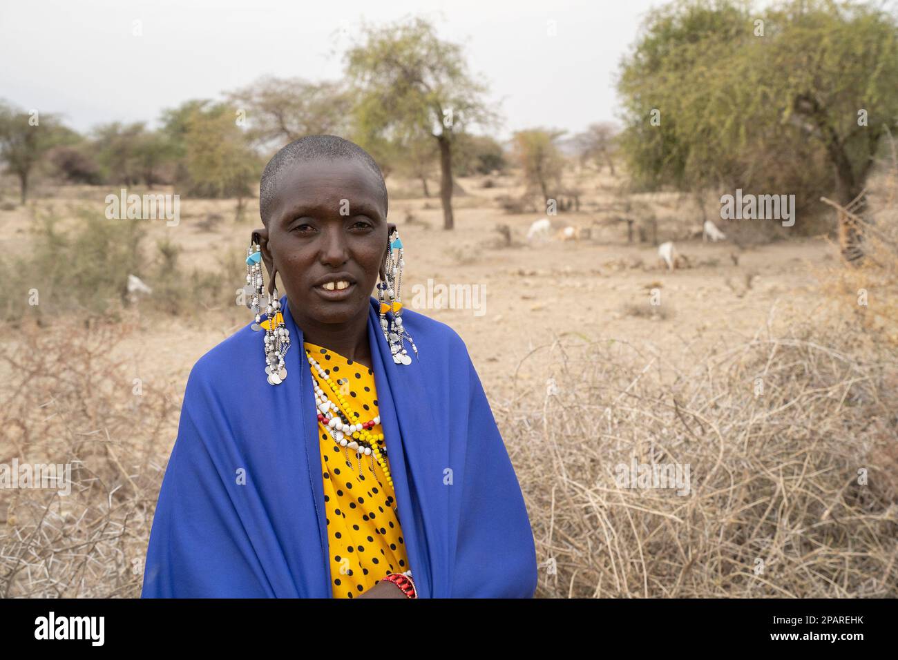 Maasai indigenous community portrait hi-res stock photography and ...