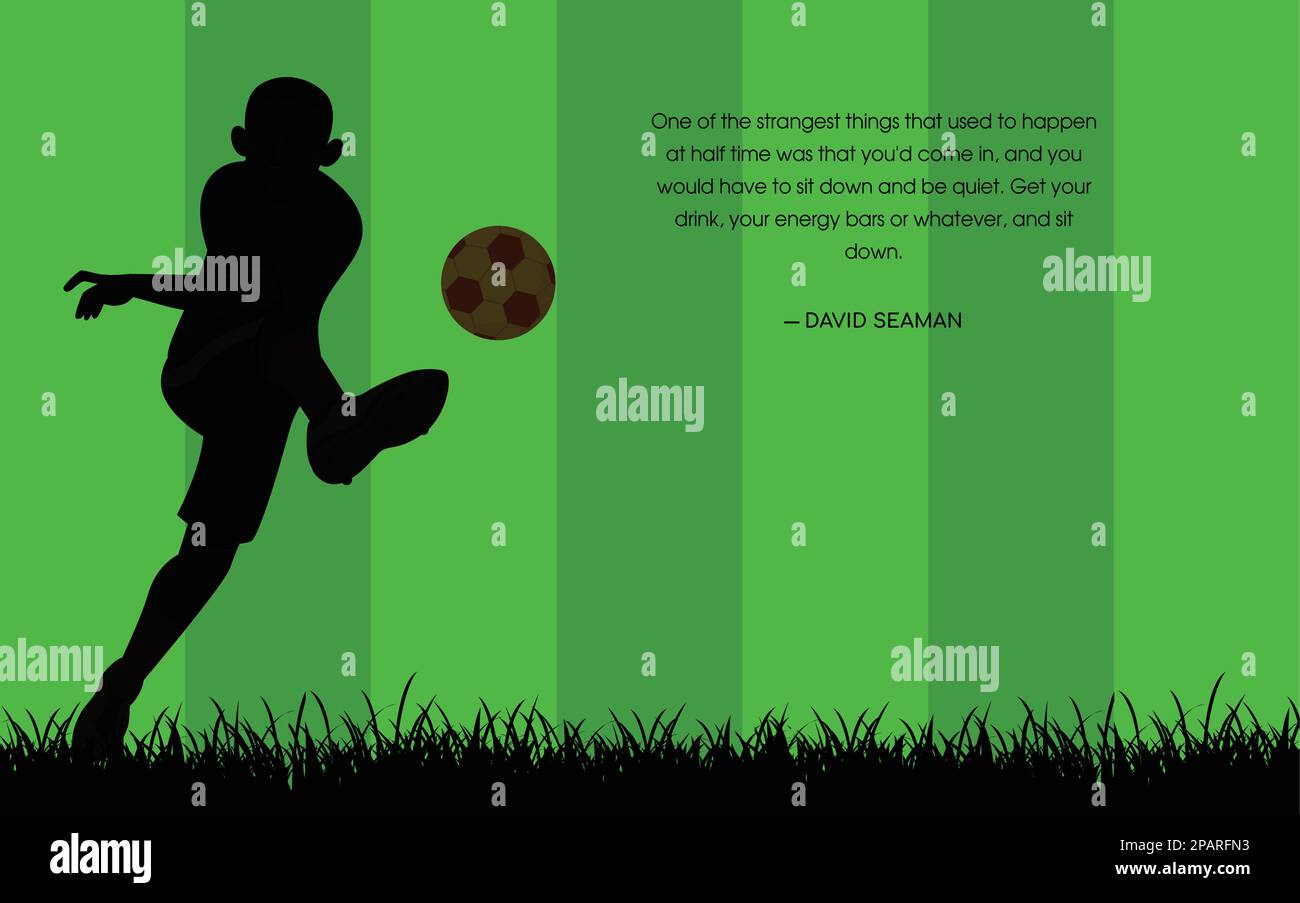 David seaman poster hi-res stock photography and images - Alamy