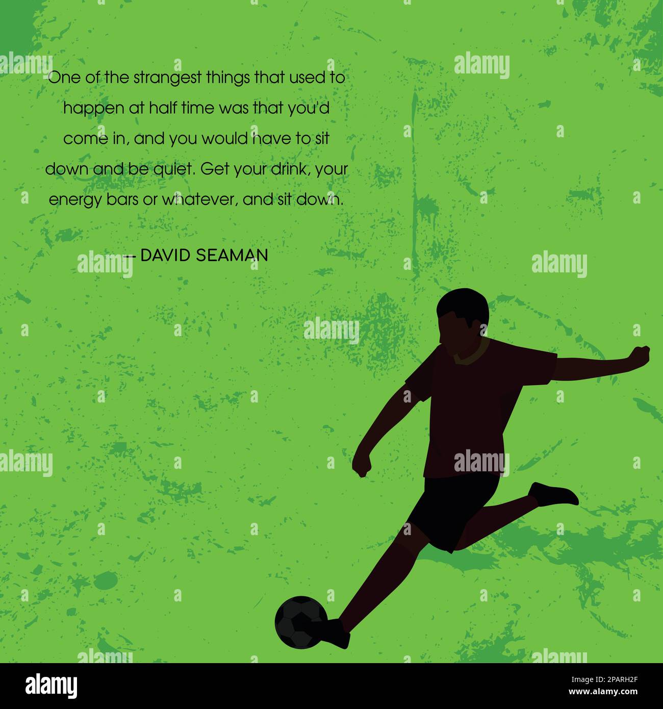 David seaman poster hi-res stock photography and images - Alamy