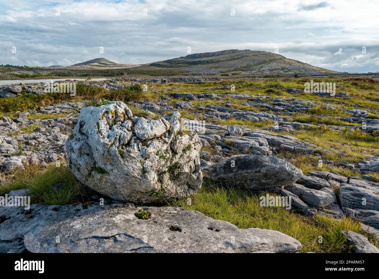 Typical limestone boulder in the Burren National Park, Mullaghmore and ...