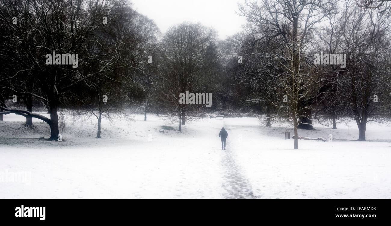 Priory Park in snowy weather, Warwick, Warwickshire, UK Stock Photo - Alamy