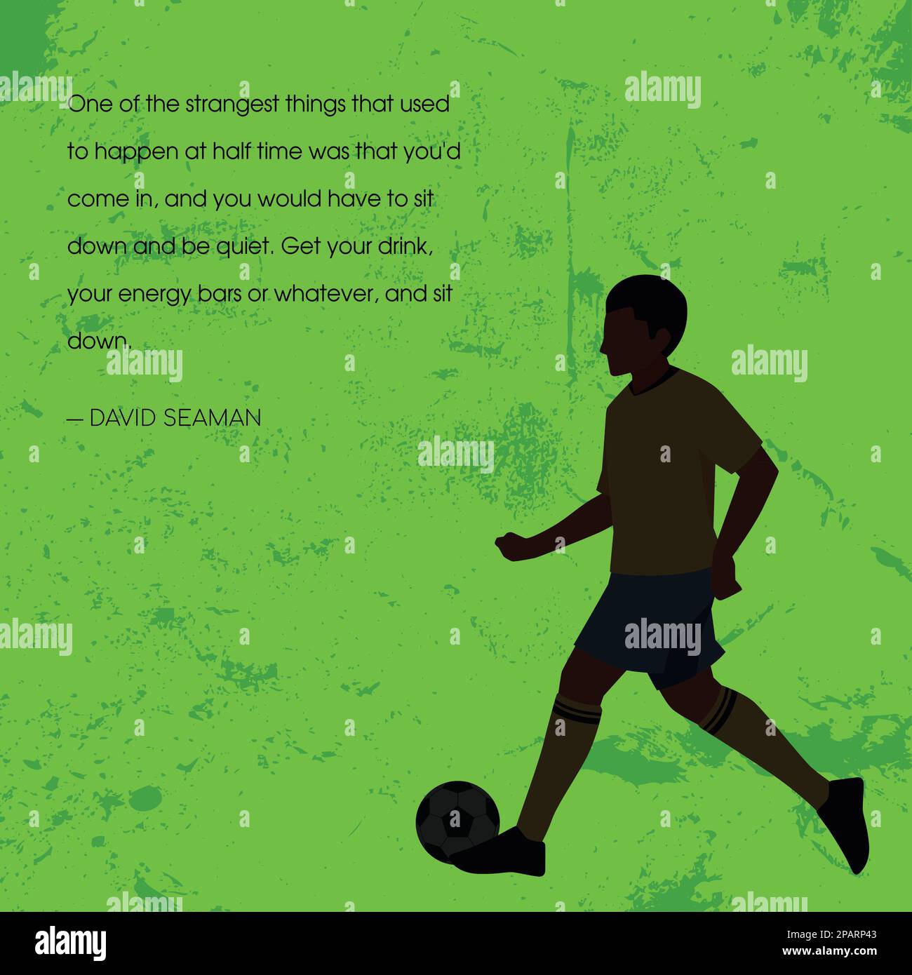 David seaman poster hi-res stock photography and images - Alamy