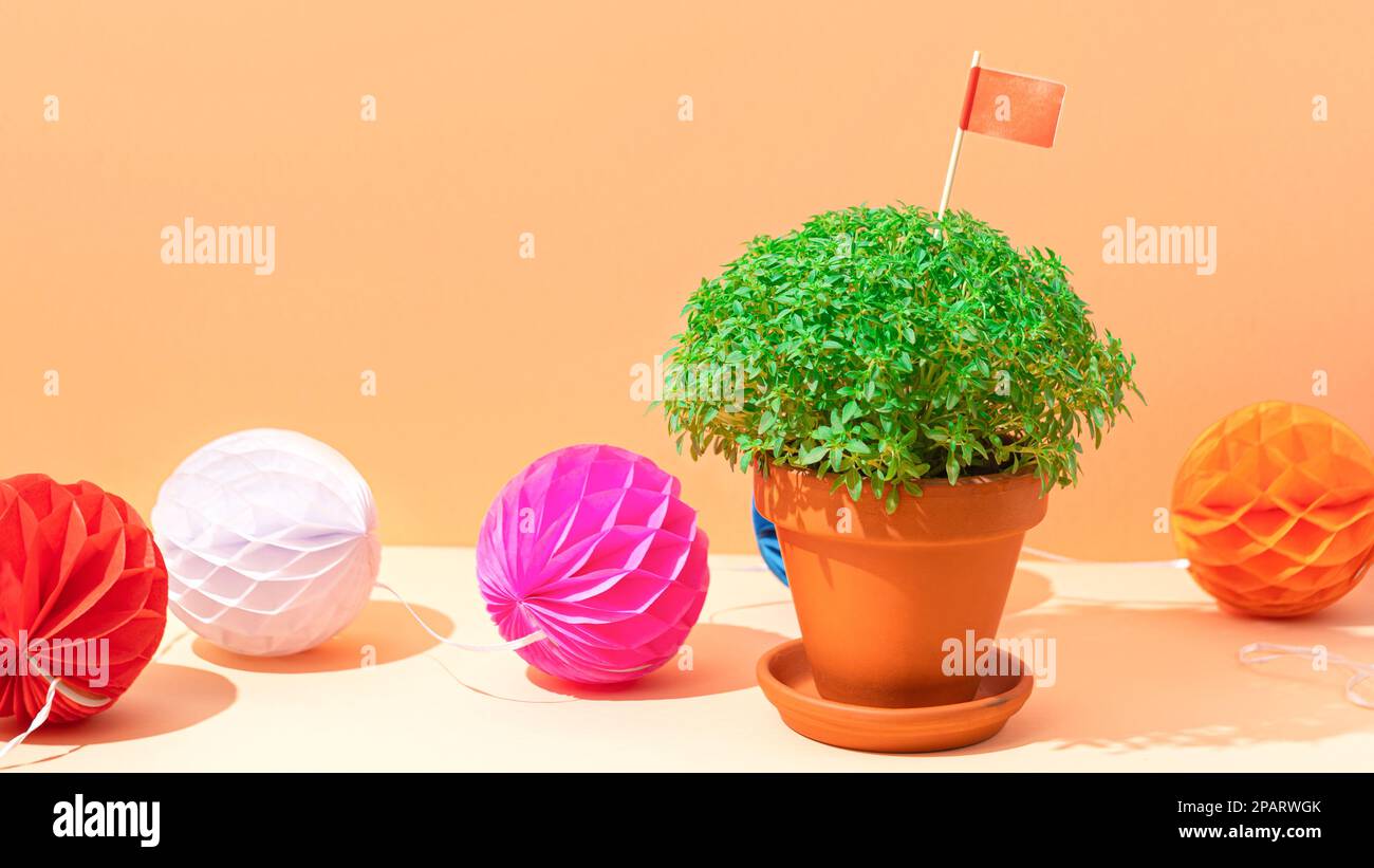 Manjerico paper garland on the blue background Stock Photo - Alamy