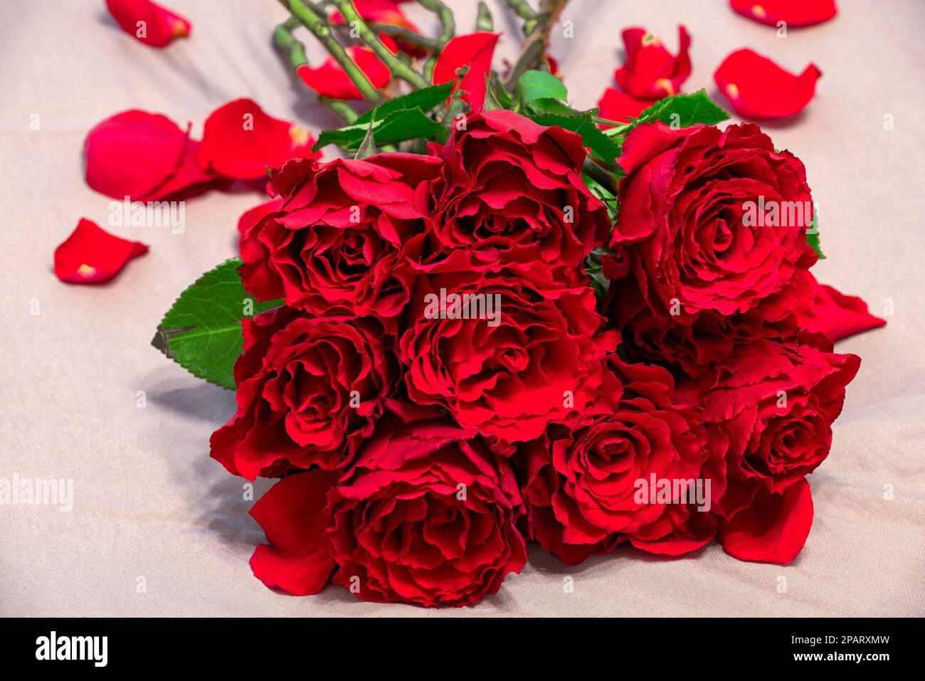 Large bunch of red roses hi-res stock photography and images - Alamy