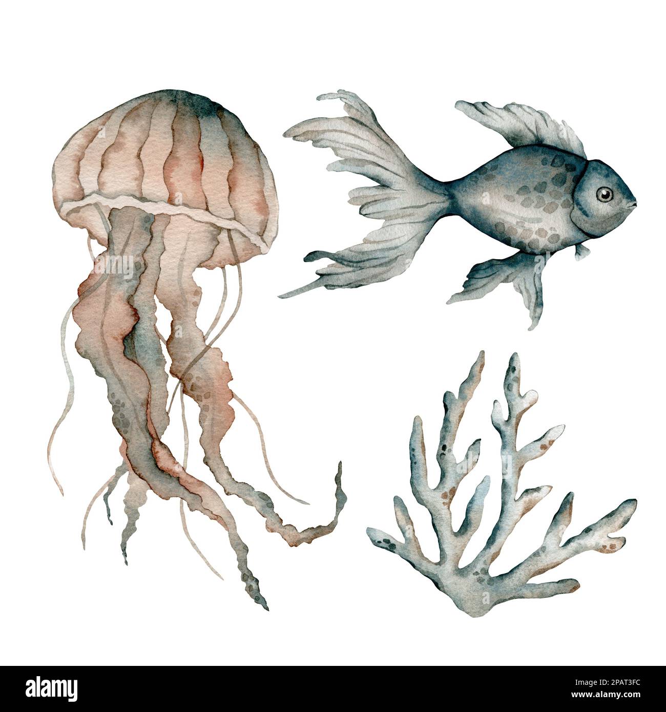 Set of sea animals poster. Blue, greeen, brown watercolor ocean shell ...