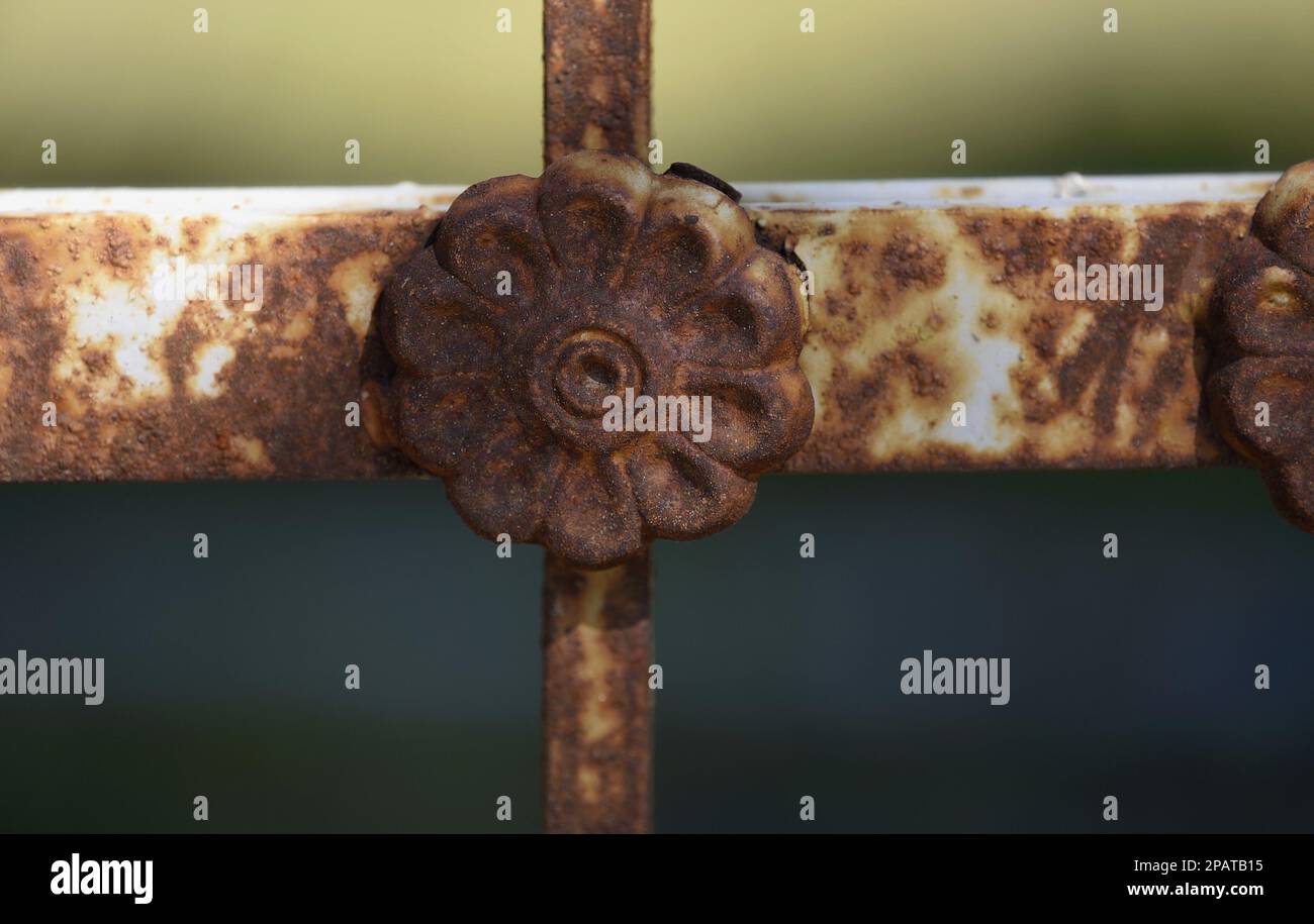 Old rusty fence railing handcrafted cast iron rosettes Stock Photo - Alamy