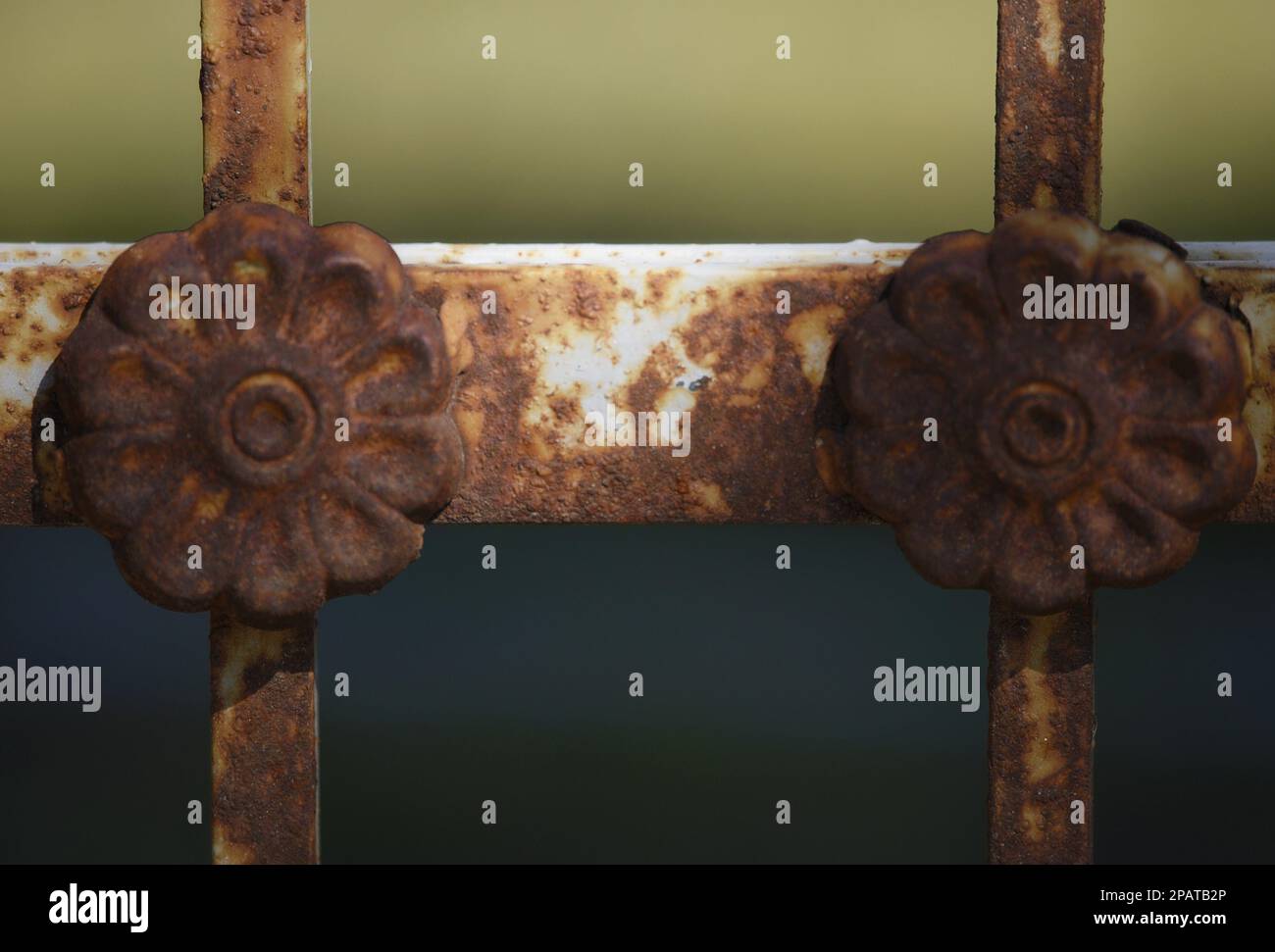 Old rusty fence railing handcrafted cast iron rosettes Stock Photo - Alamy