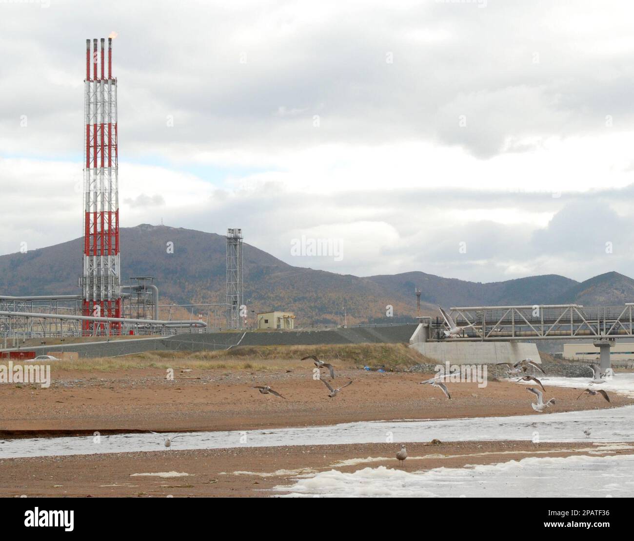 Birds take flight near the liquefied natural gas plant on Sakhalin ...