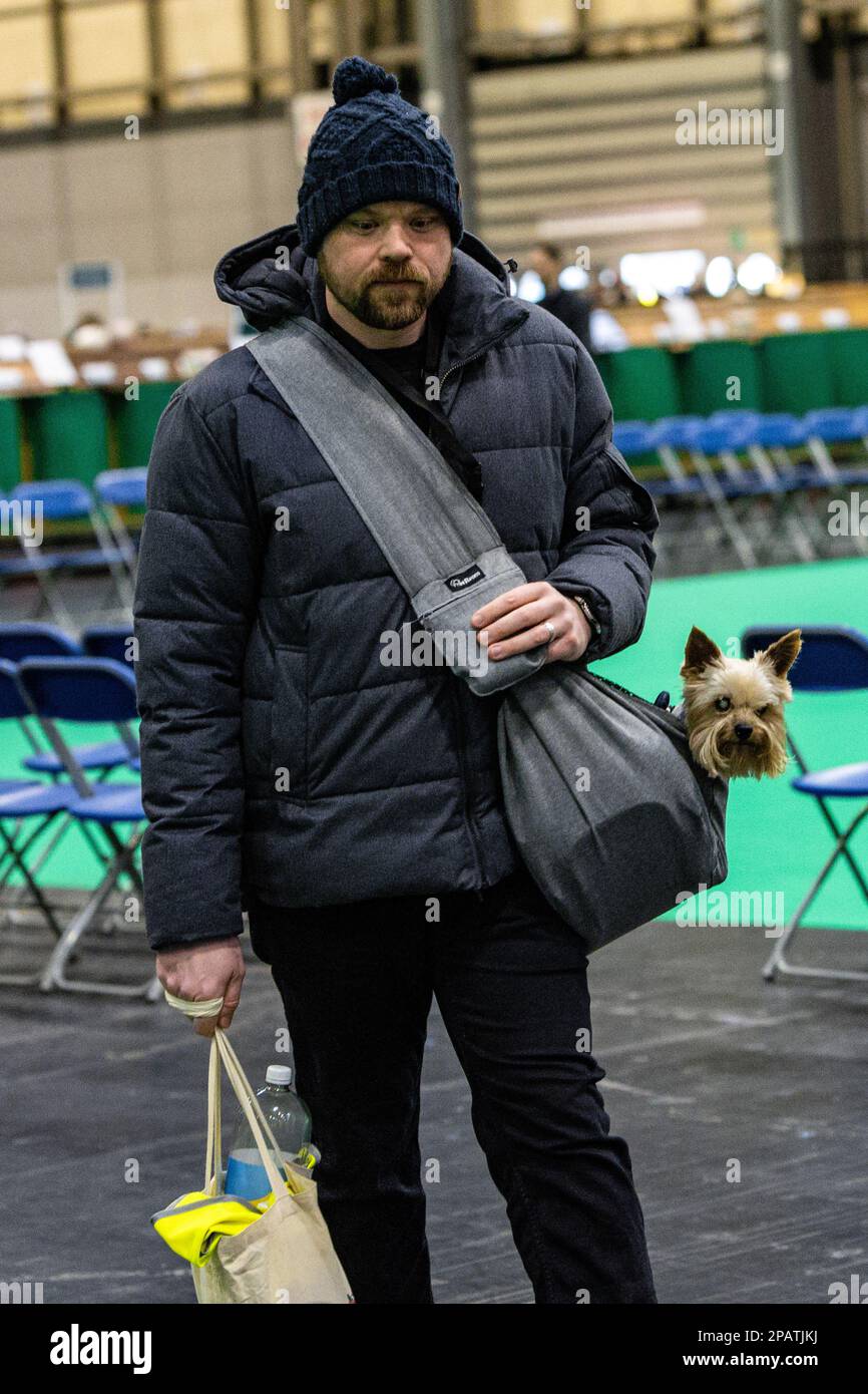 Birmingham, UK. 12 March 2023. A blind Yorkshire Terrier in his bag on ...