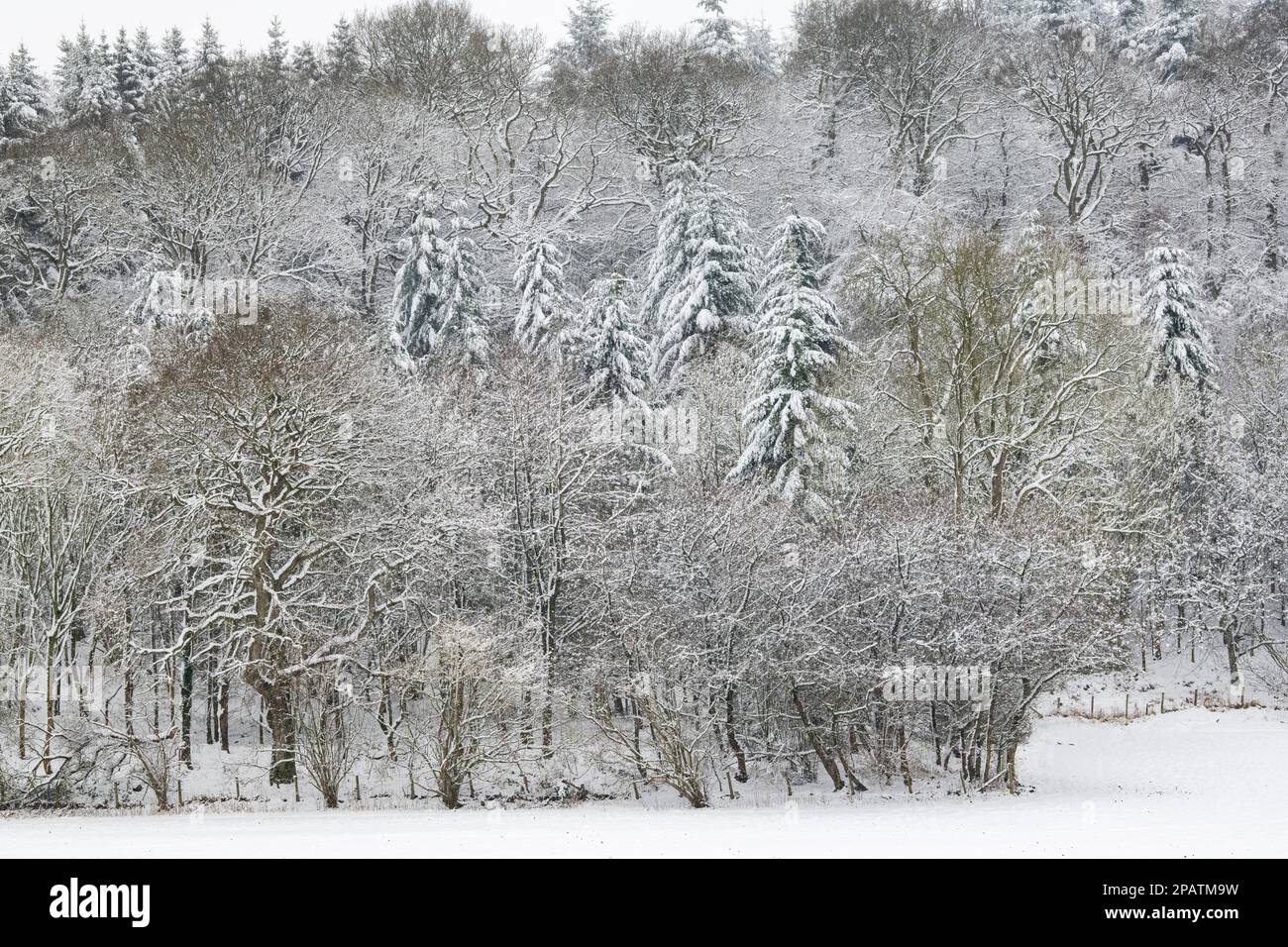 English hillside hi-res stock photography and images - Alamy