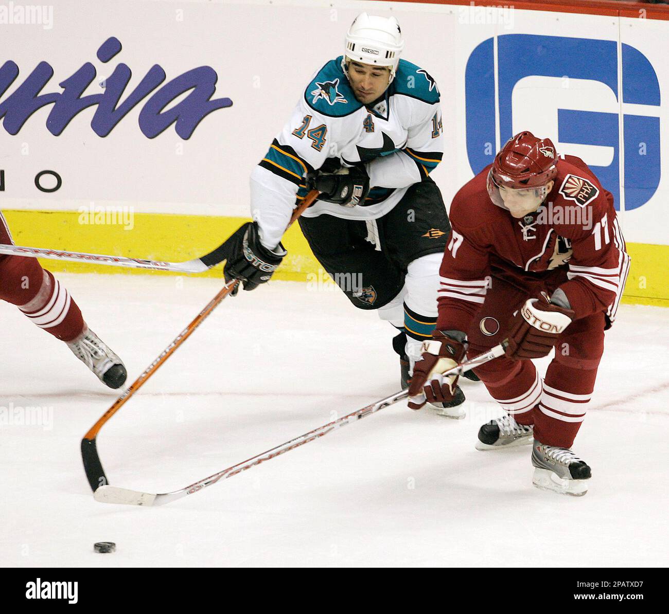 San Jose Sharks' Jonathan Cheechoo (14) battles Phoenix Coyotes' Radim ...