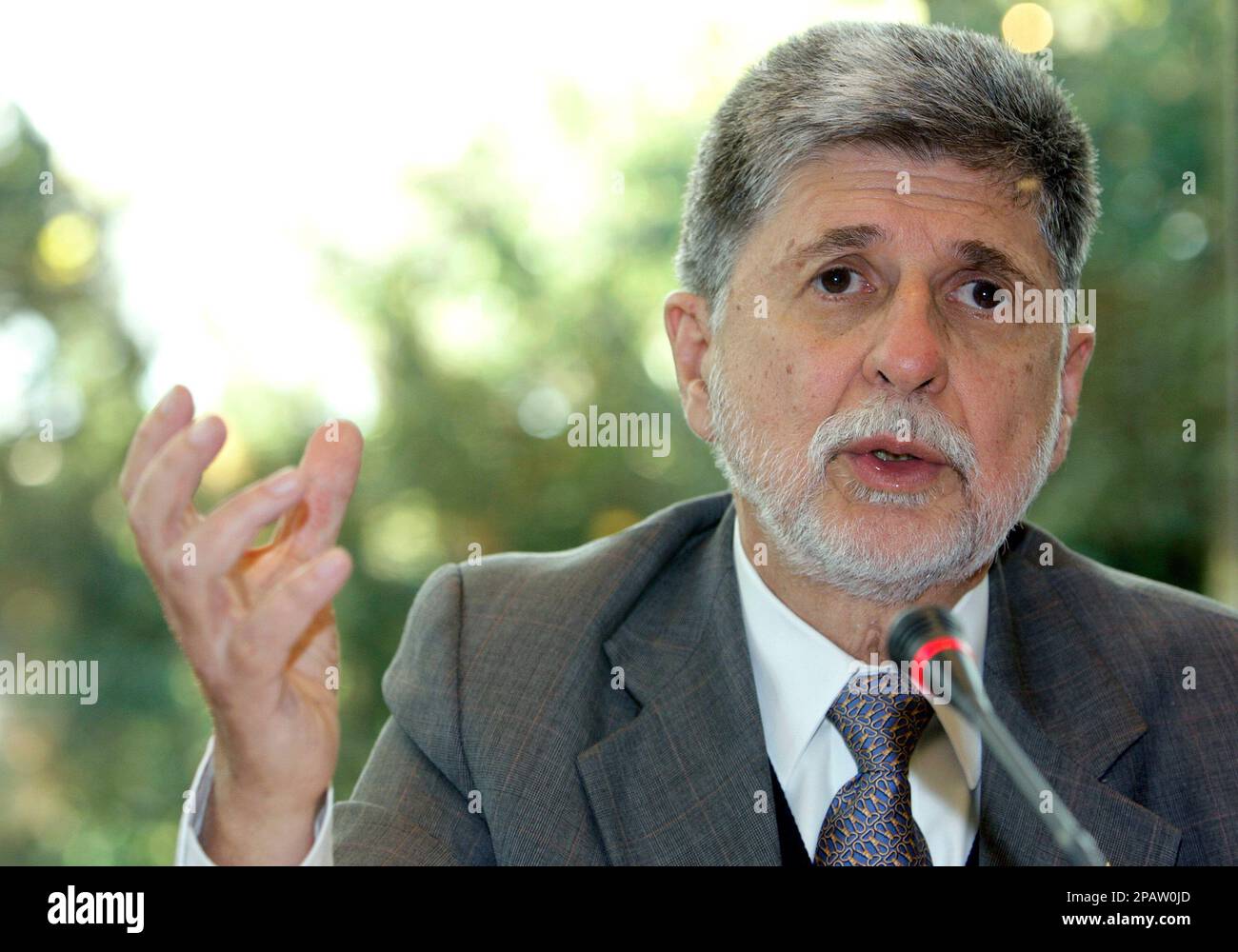 Brazilian Foreign Minister Celso Amorim speaks during a press ...