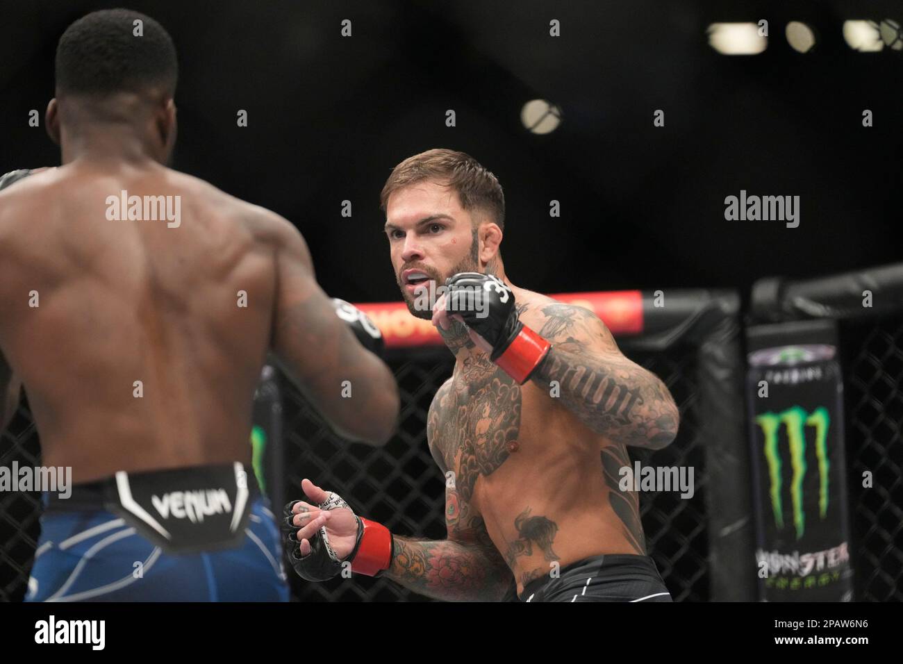 LAS VEGAS, NV - MARCH 4: (R-L) Cody Garbrandt battles Trevin Jones in ...
