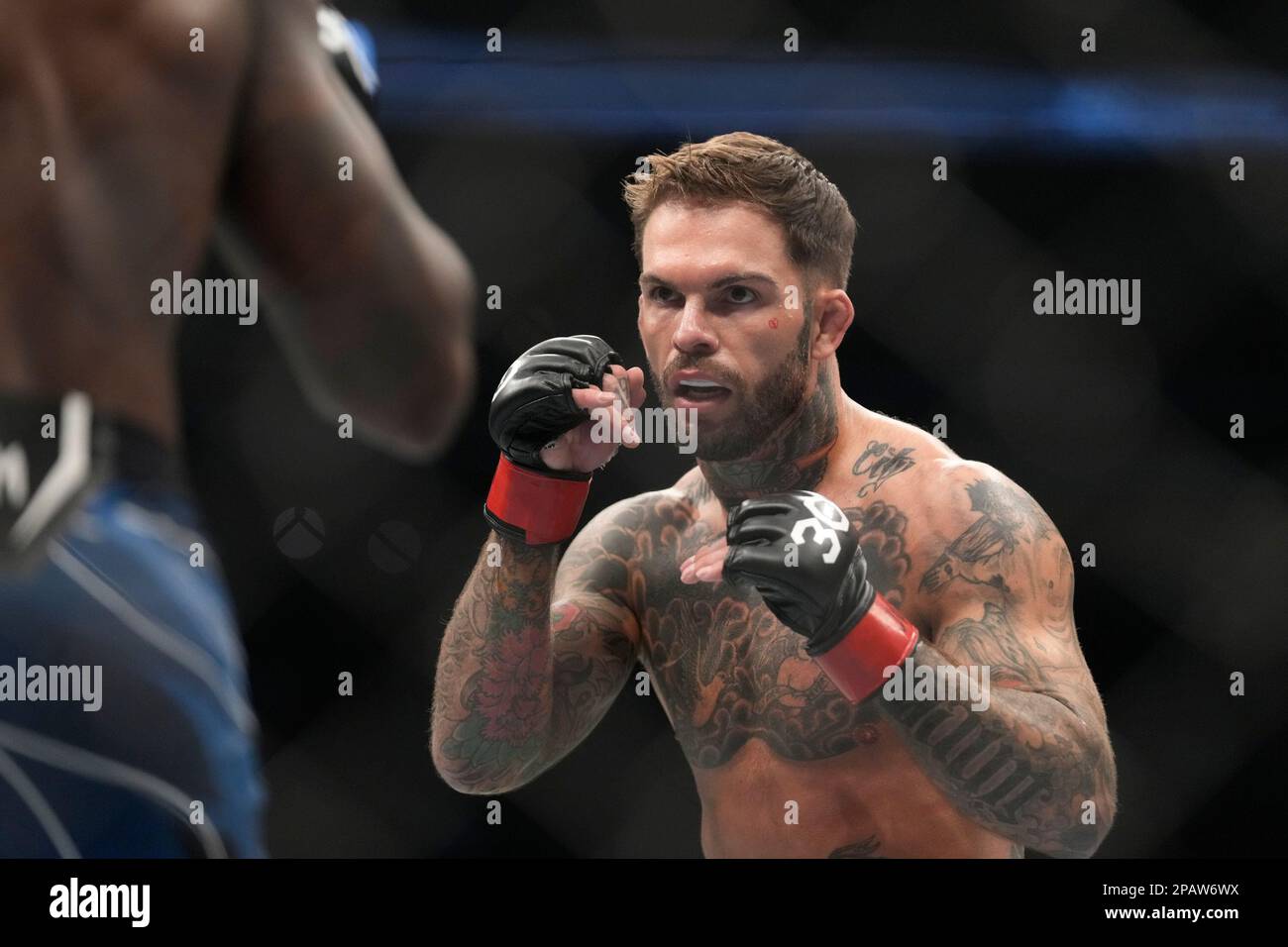 LAS VEGAS, NV - MARCH 4: (R-L) Cody Garbrandt battles Trevin Jones in ...