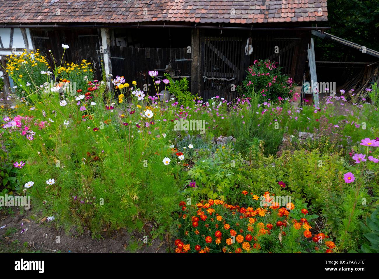 Bienen und blumen hi-res stock photography and images - Alamy