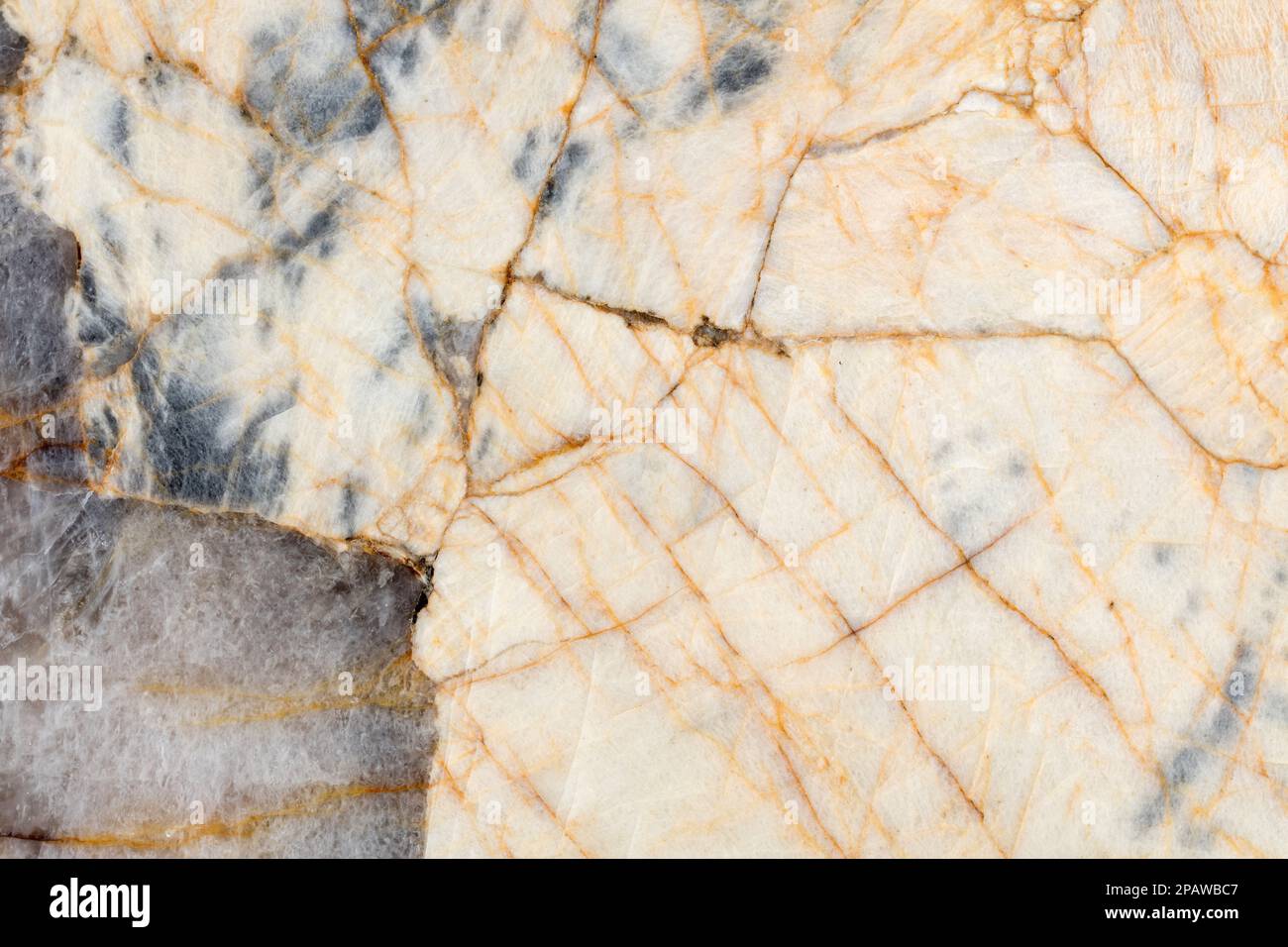 Stylish Patagonia quartzite transparent matt marble stone background ...