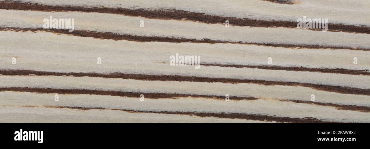 Beautiful light veneer background for your classic design view. Natural ...