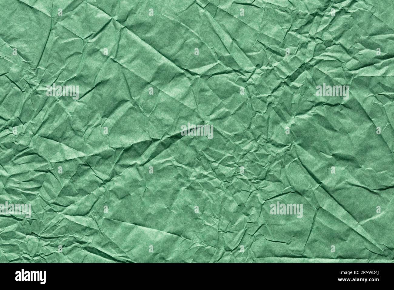 Green Crumpled Paper Texture