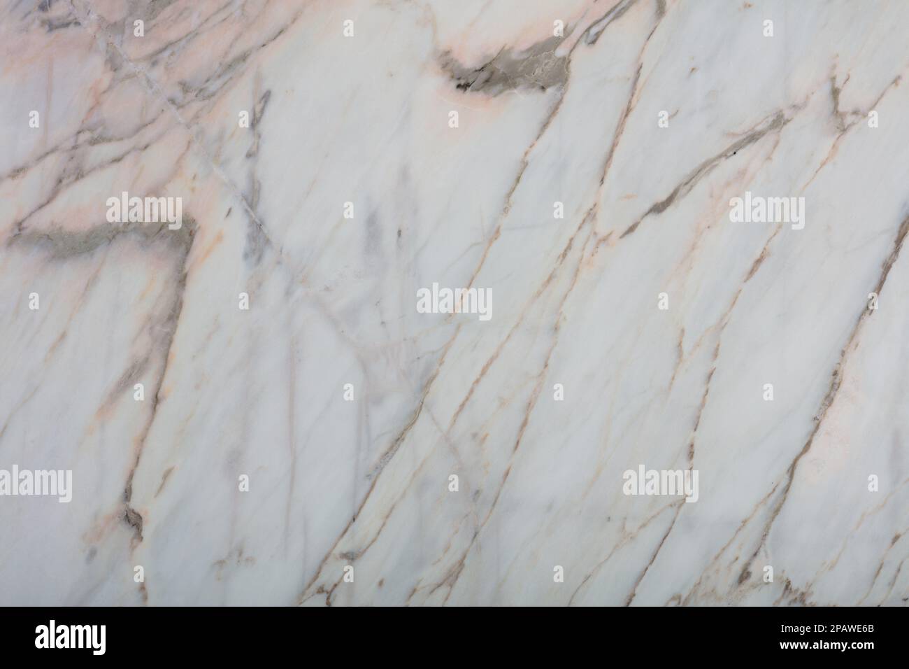 Classic Calacatta Creme marble texture, new background for your home ...
