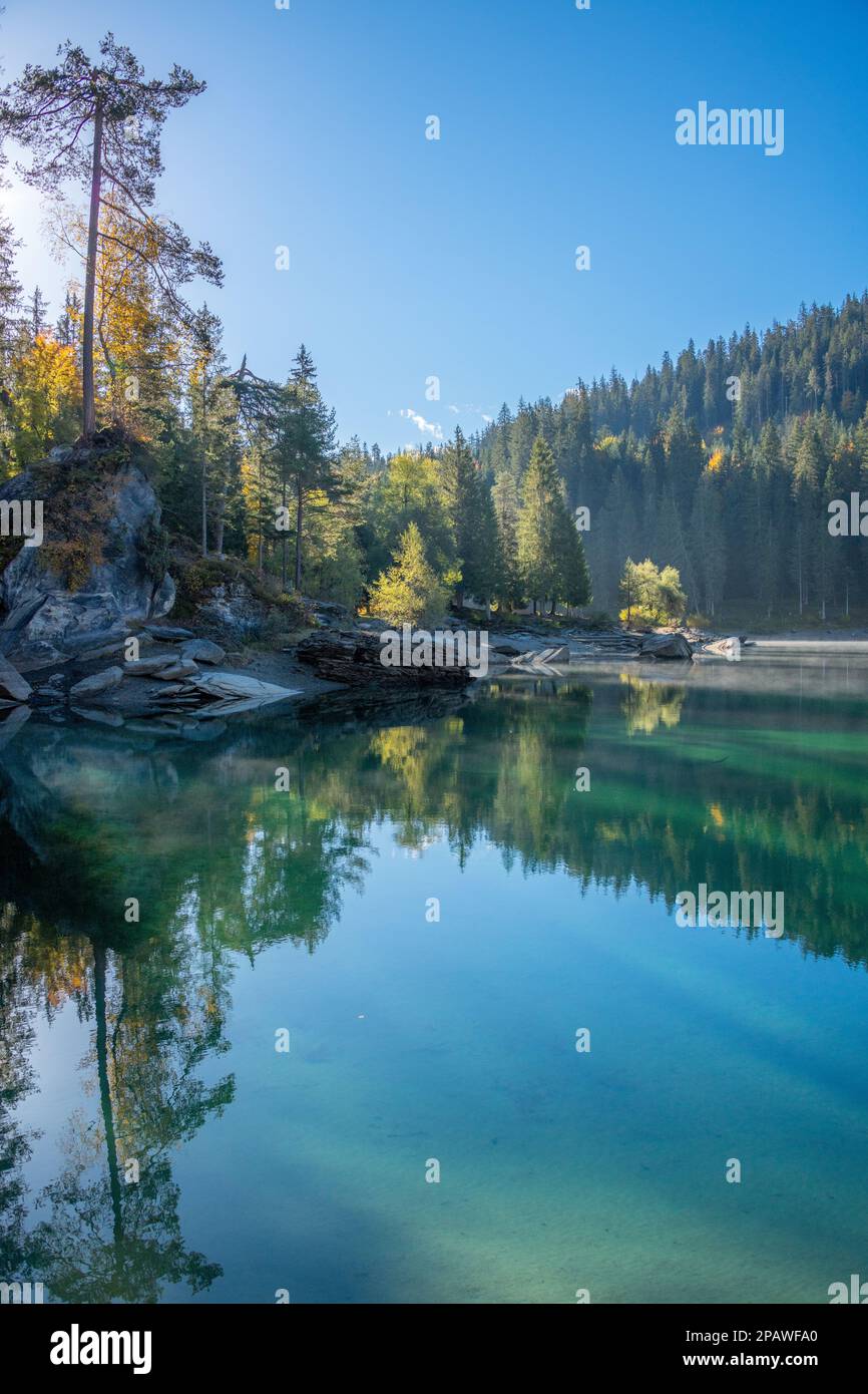 A mirror lake that reflects the forest in itself Stock Photo - Alamy
