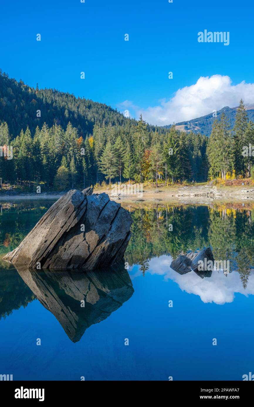 A mirror lake that reflects the forest in itself Stock Photo - Alamy