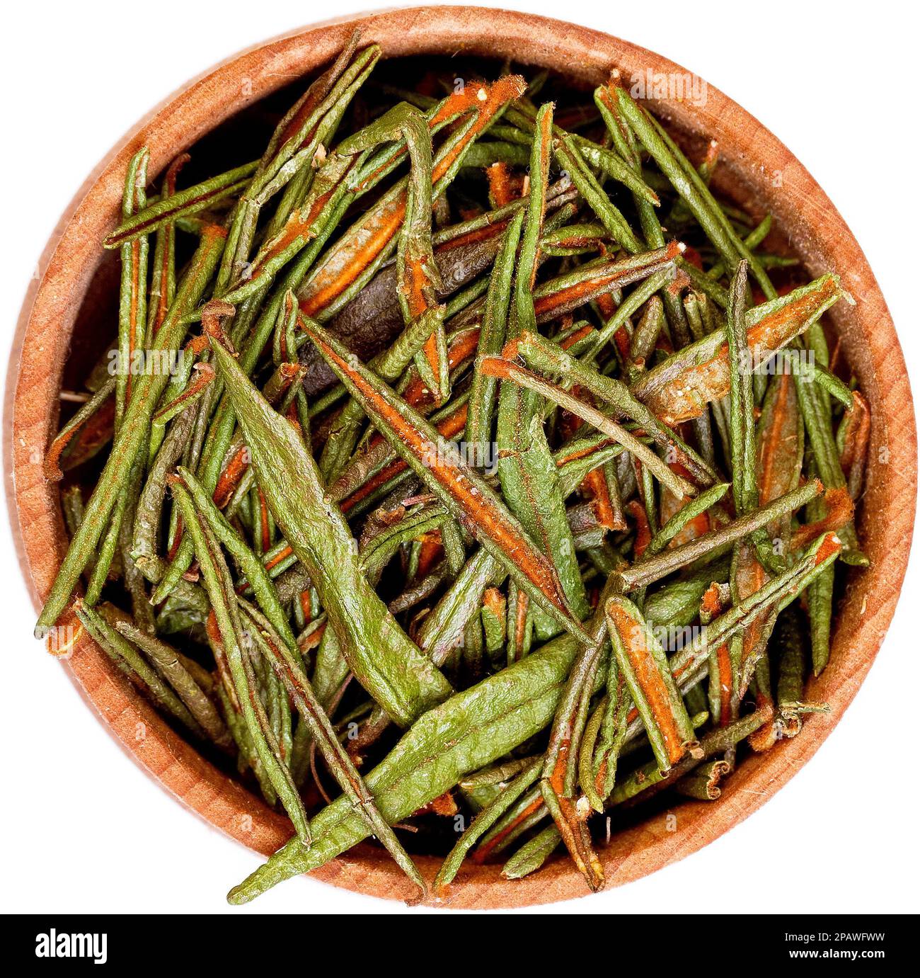 Bog labrador tea hi-res stock photography and images - Alamy
