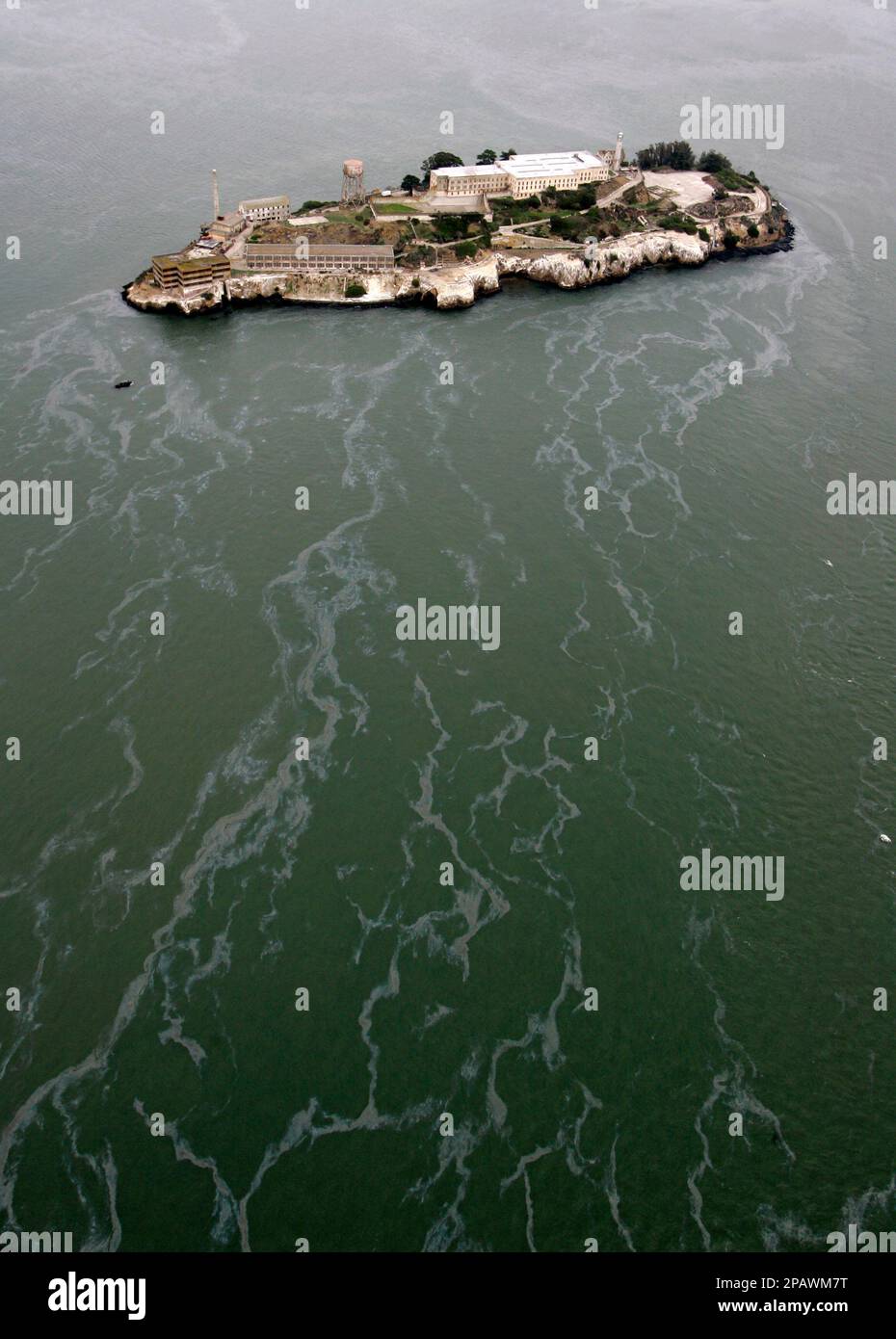 An oil slick floats by Alcatraz Island on San Francisco Bay in San ...