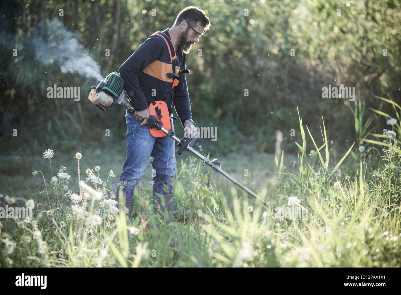 man trimming weed with weed trimmer in summer Stock Photo - Alamy