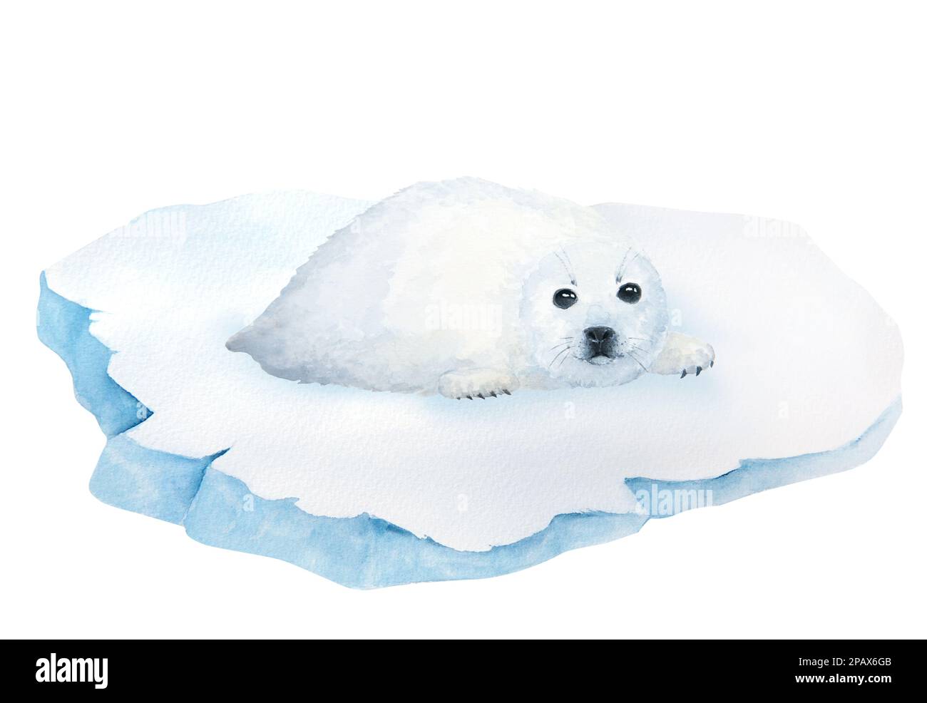 Pup on ice watercolor illustration isolated on white background, little ...