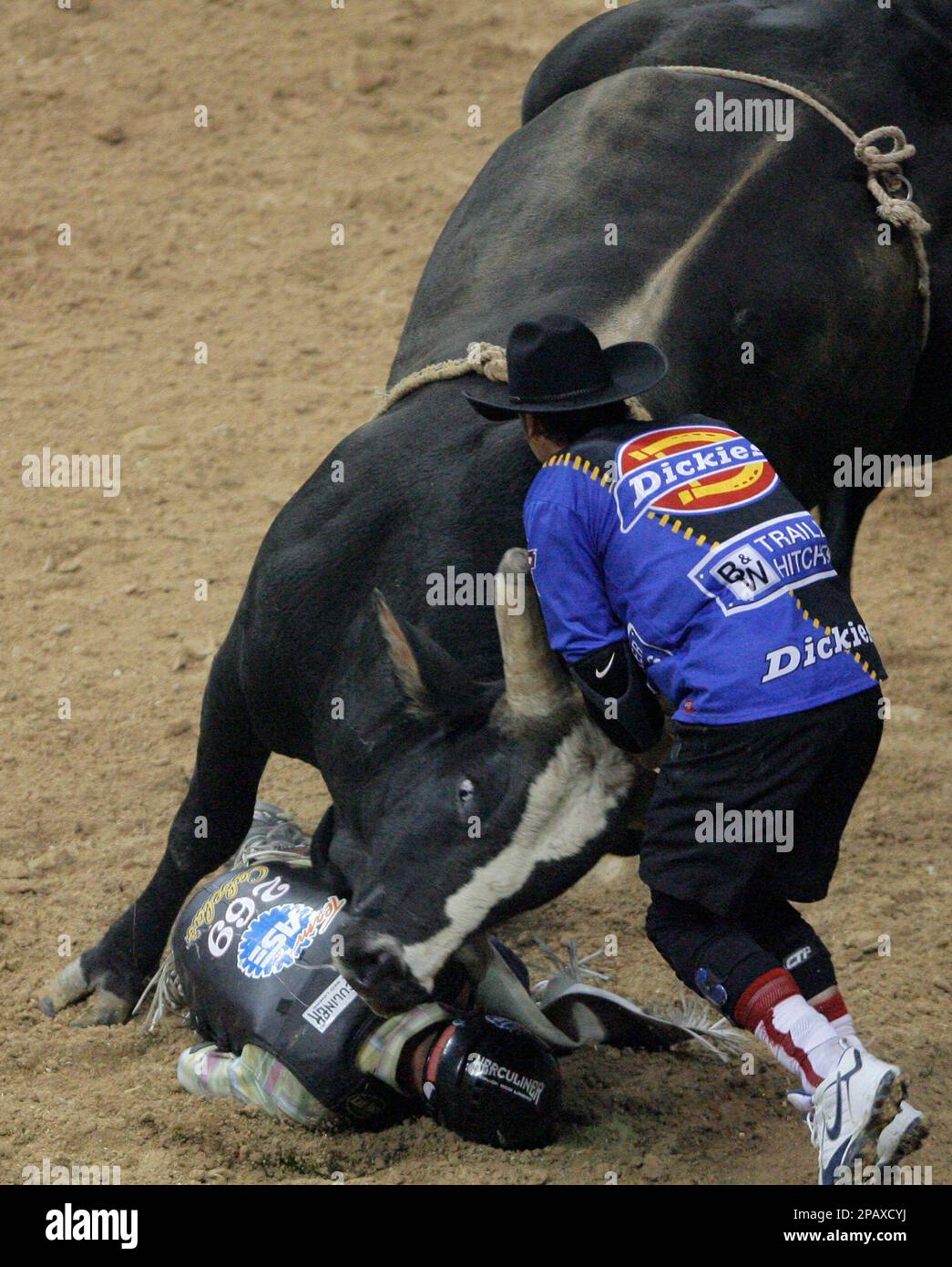 Chicken On A Chain Bull
