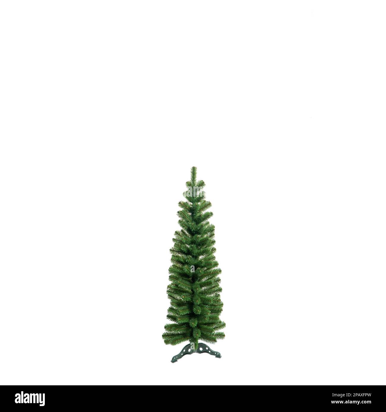 Unadorned stem hi-res stock photography and images - Alamy