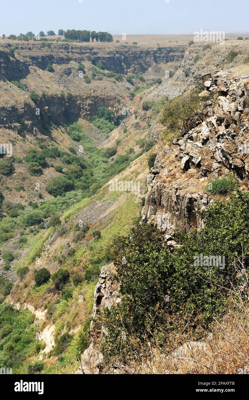 Gamla Nature Reserve in Israel - the ancient city and the tallest ...