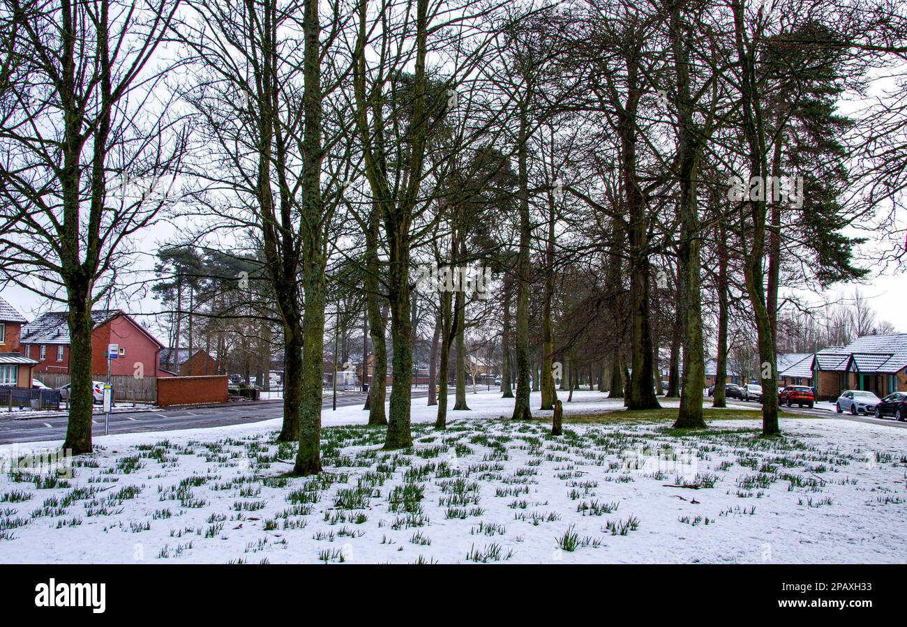 Snowfall dundee hi-res stock photography and images - Alamy