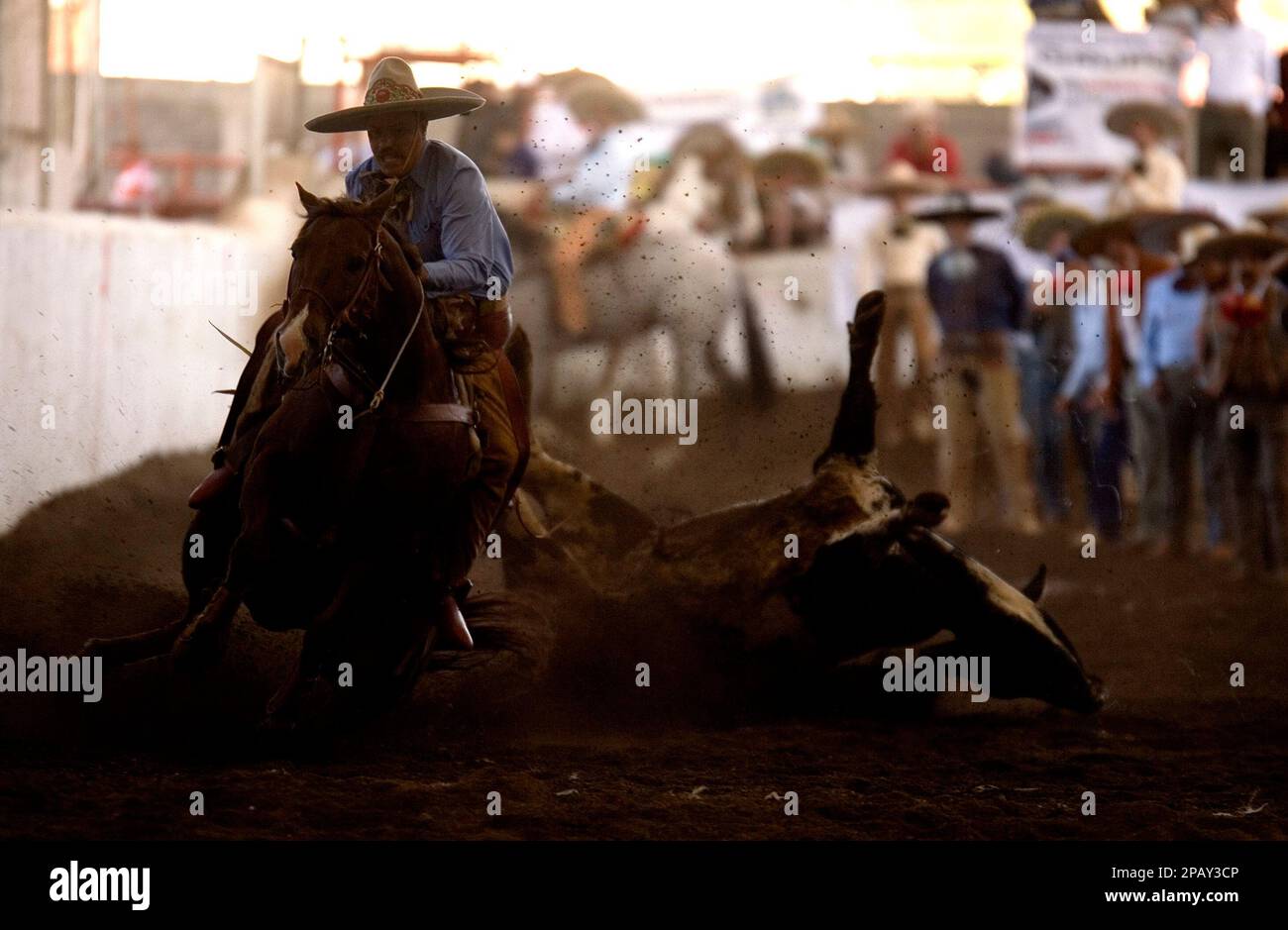 Mexican "charro" Ricardo Yanez, representing the Regionales de Jalisco ...