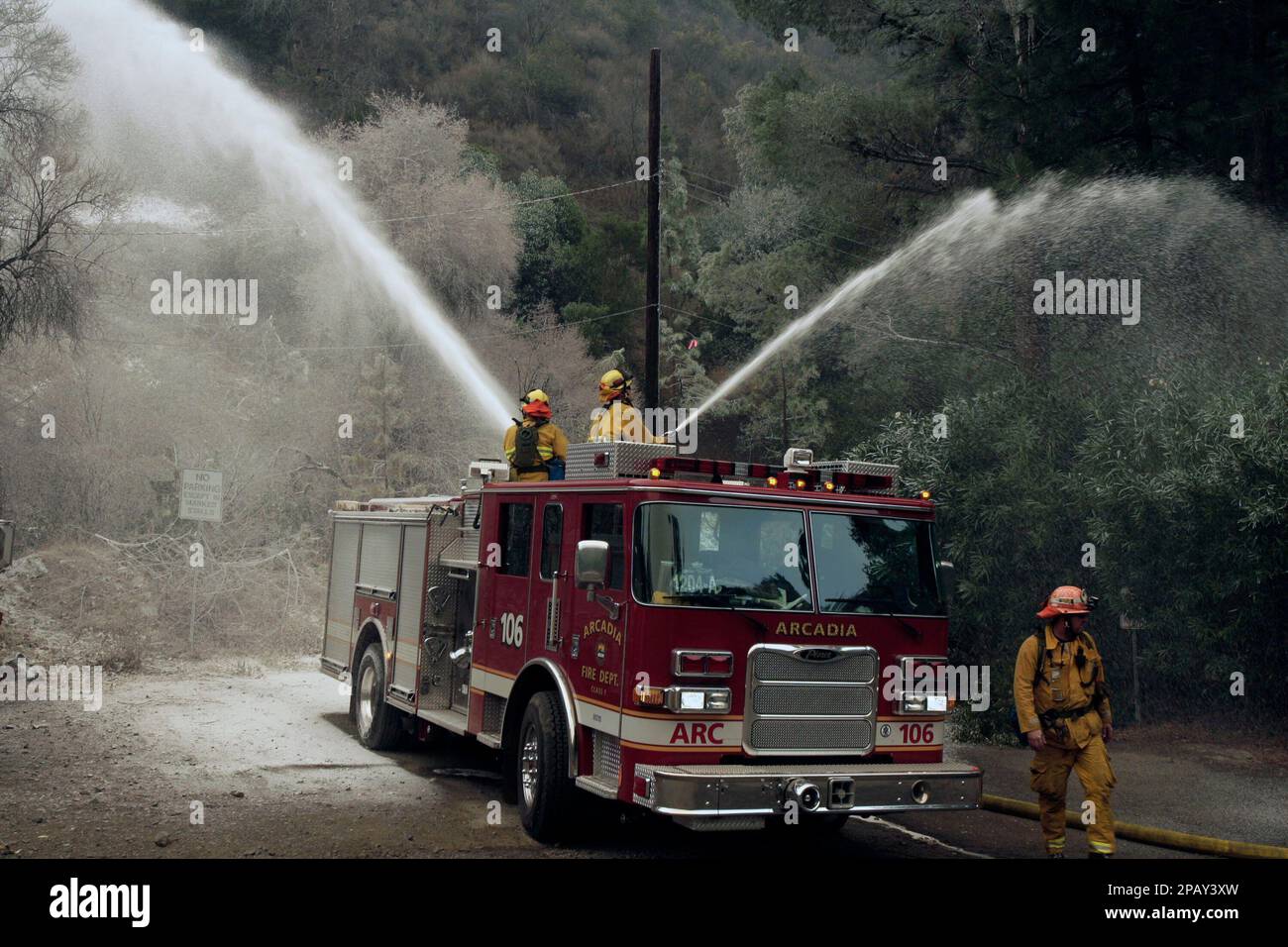 Arcadia firefighters spray compressed air foam on trees as a preventive ...
