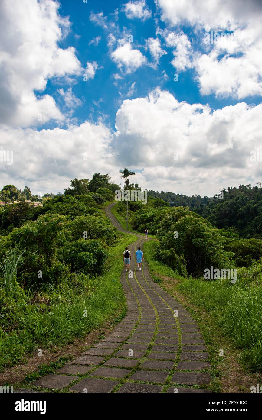 The Campuhan Ridge Walk on the Indonesian island of Bali Stock Photo ...
