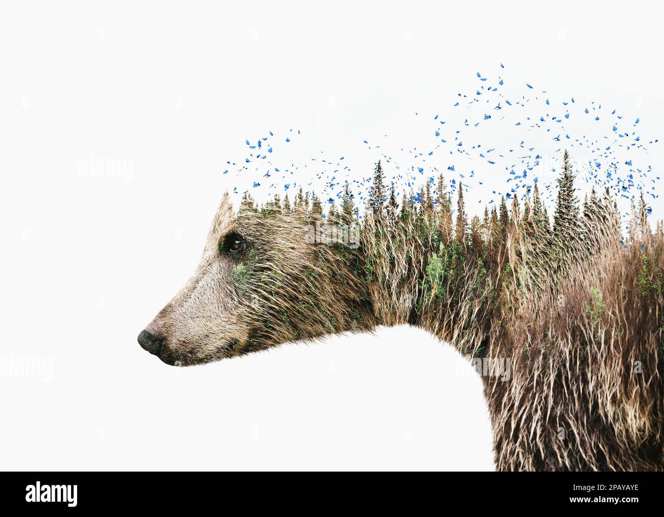 Concept of negative environmental impact on wildlife and nature Stock ...