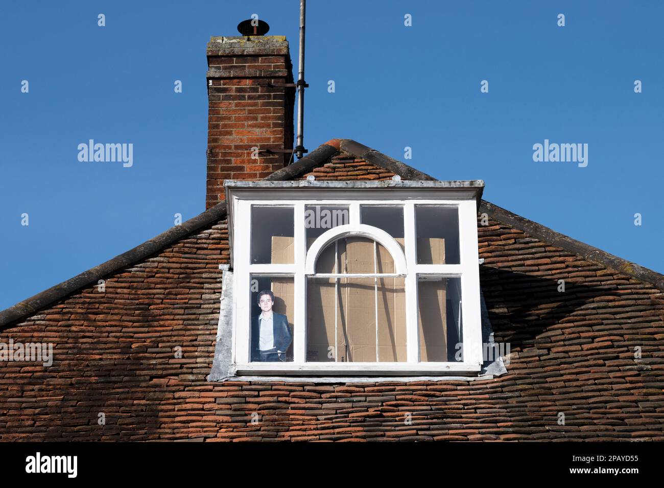 Cardboard cutout of pop singer harry styles hi-res stock photography ...