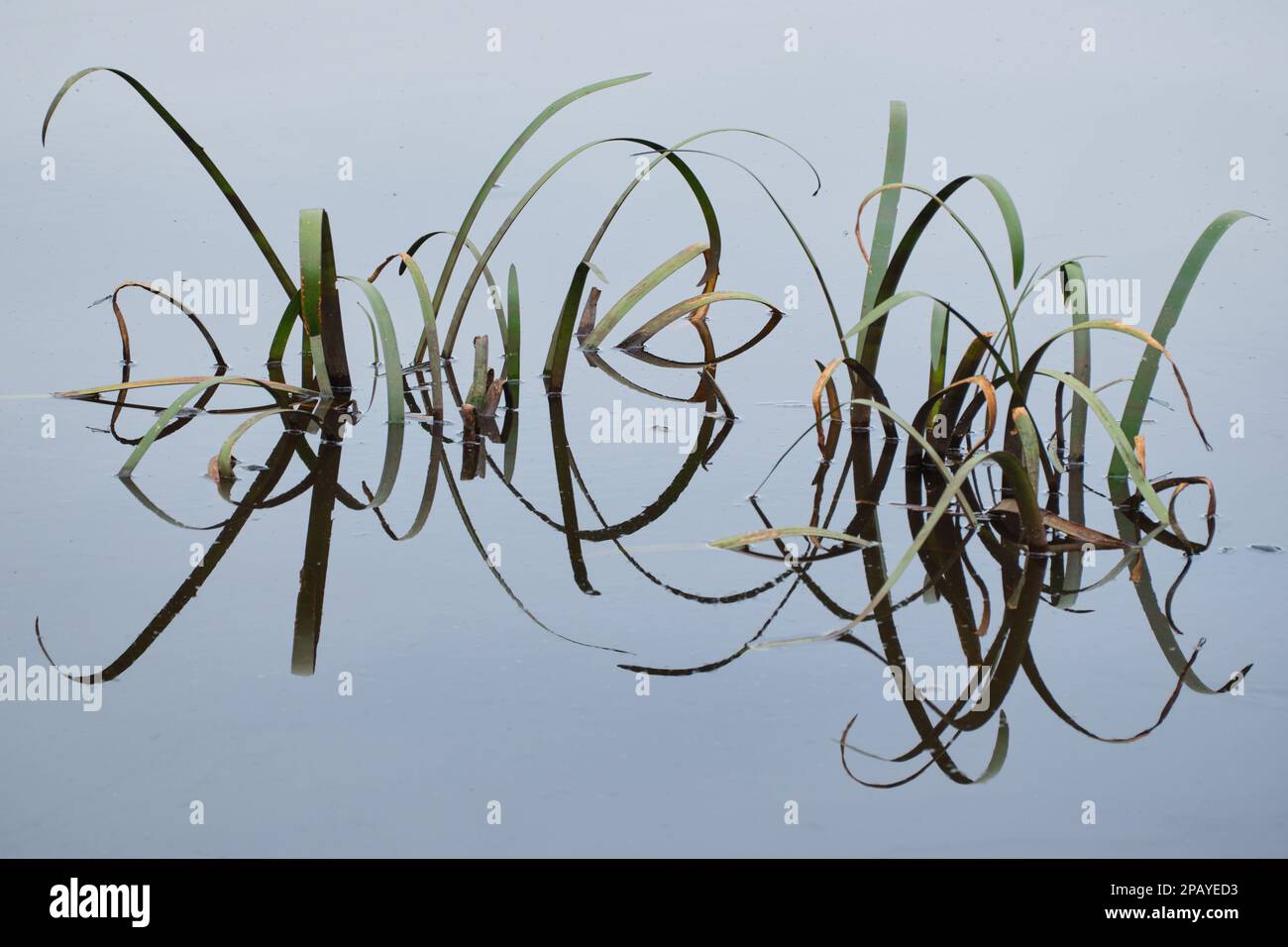 Reflection shapes hi-res stock photography and images - Alamy