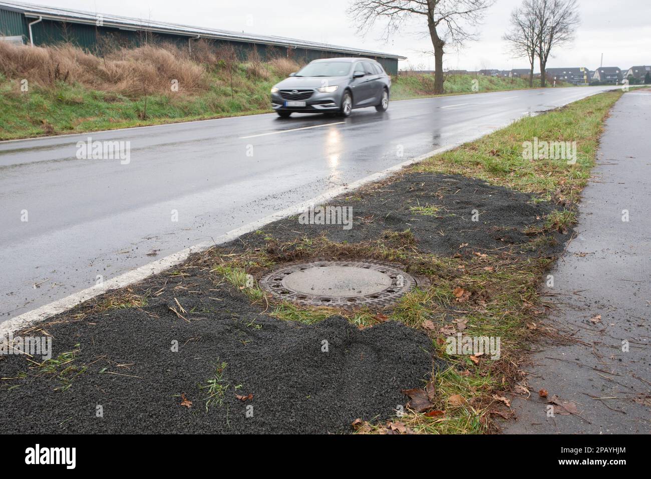 Niederkassel, Germany. 12th Mar, 2023. Next to a country road in ...