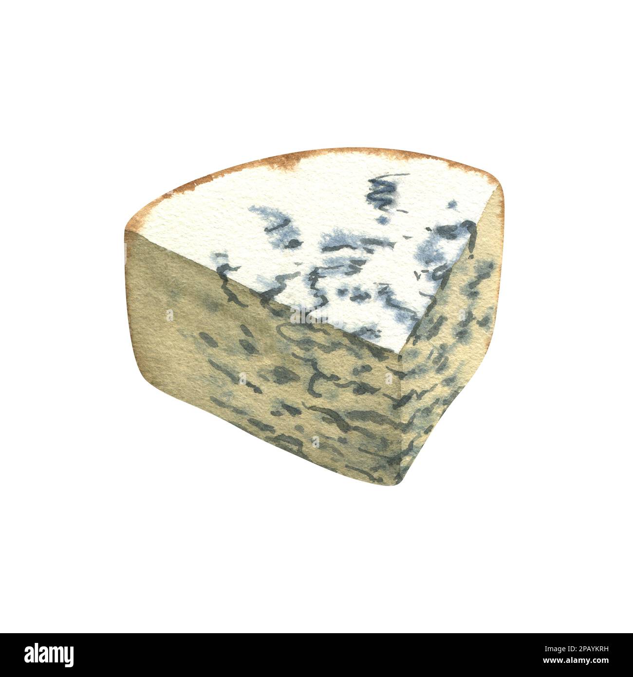Watercolor block of blue cheese delicious mold, soft milk dairy product ...