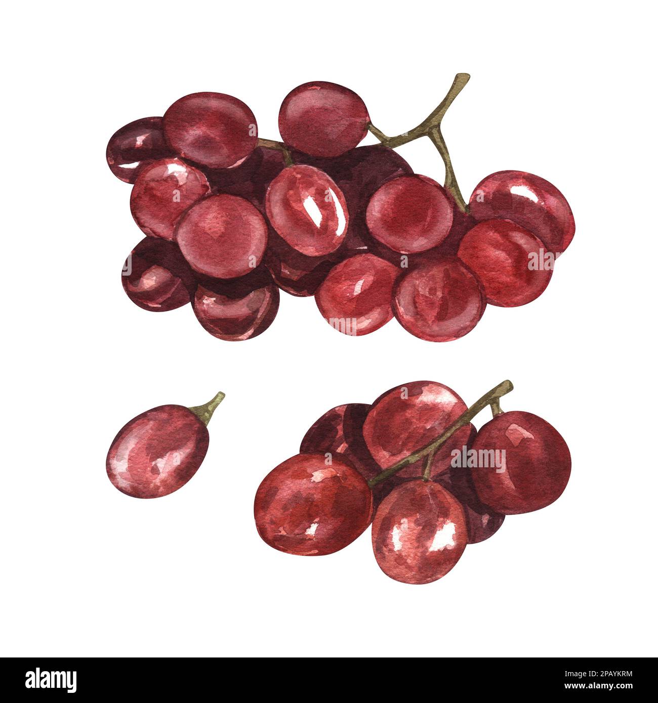 Clip art wine vineyard isolated on hi-res stock photography and images ...