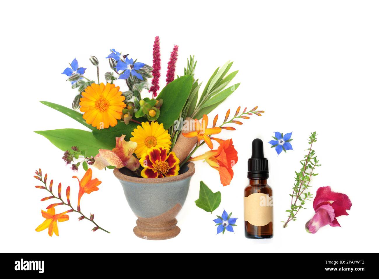Healing flowers and herbs used in natural alternative herbal flower ...