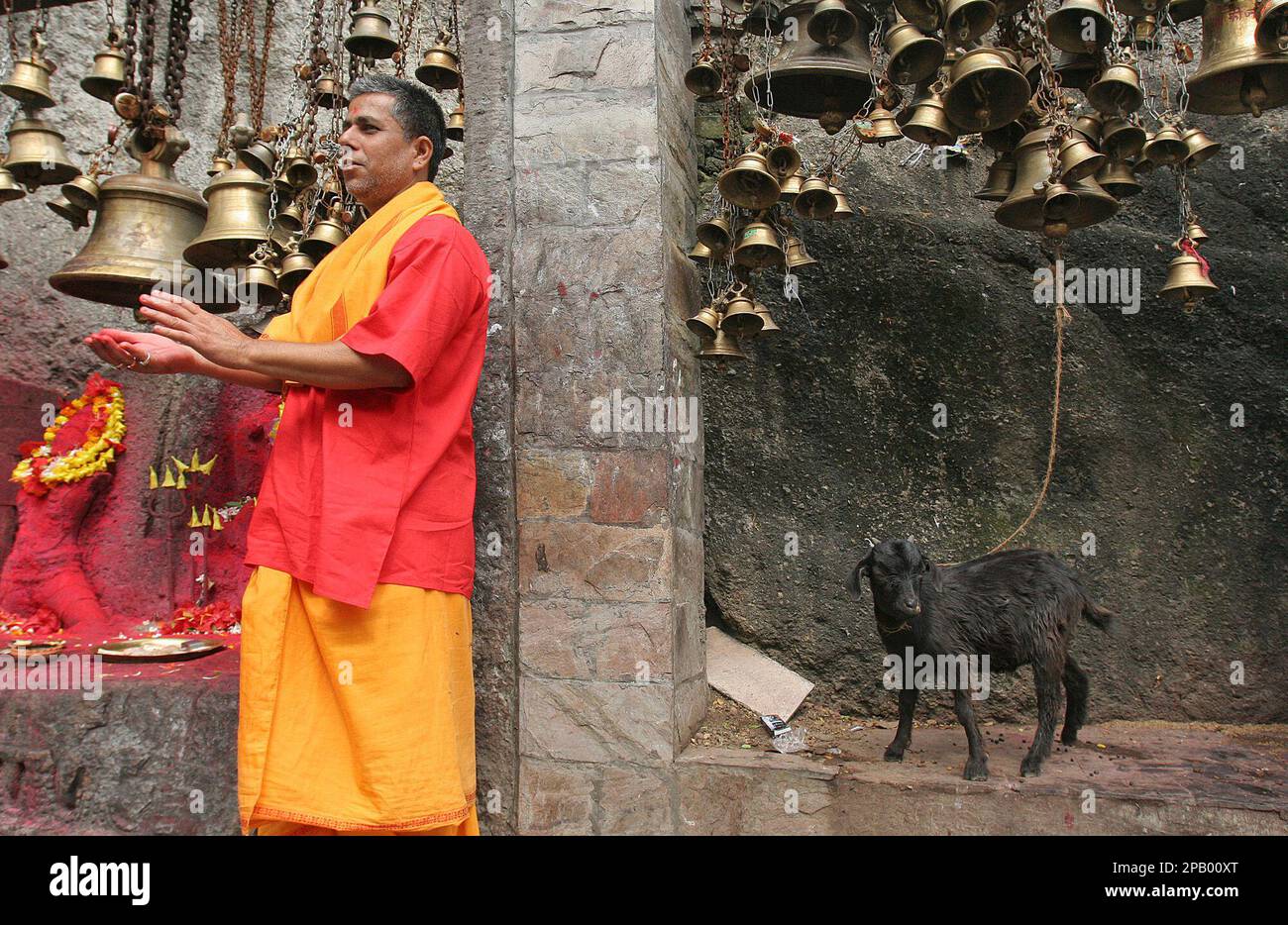 A priest sings devotional songs to attract devotees as a sacrificial ...