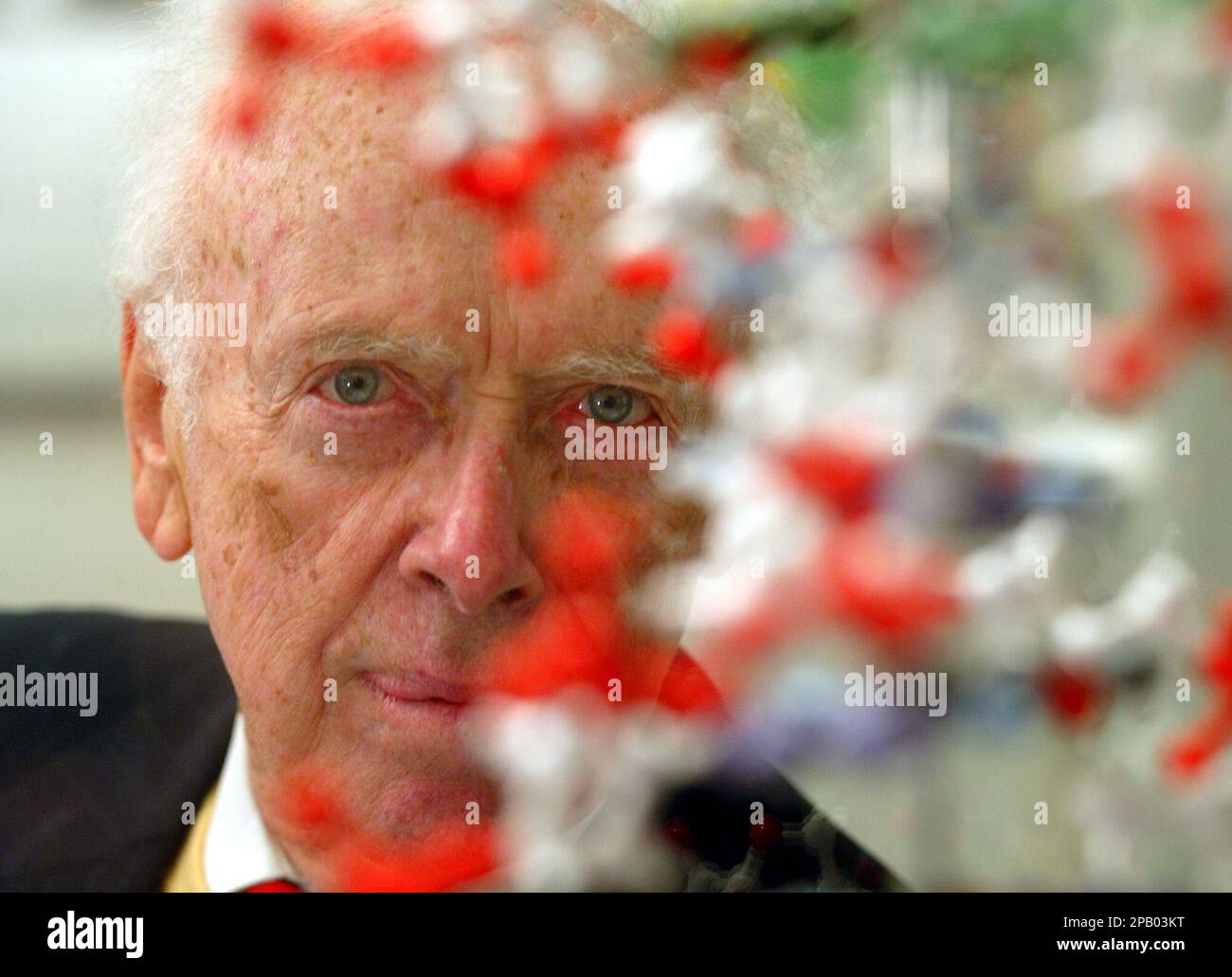 ** FILE ** US scientist and DNA discoverer James Watson poses for ...