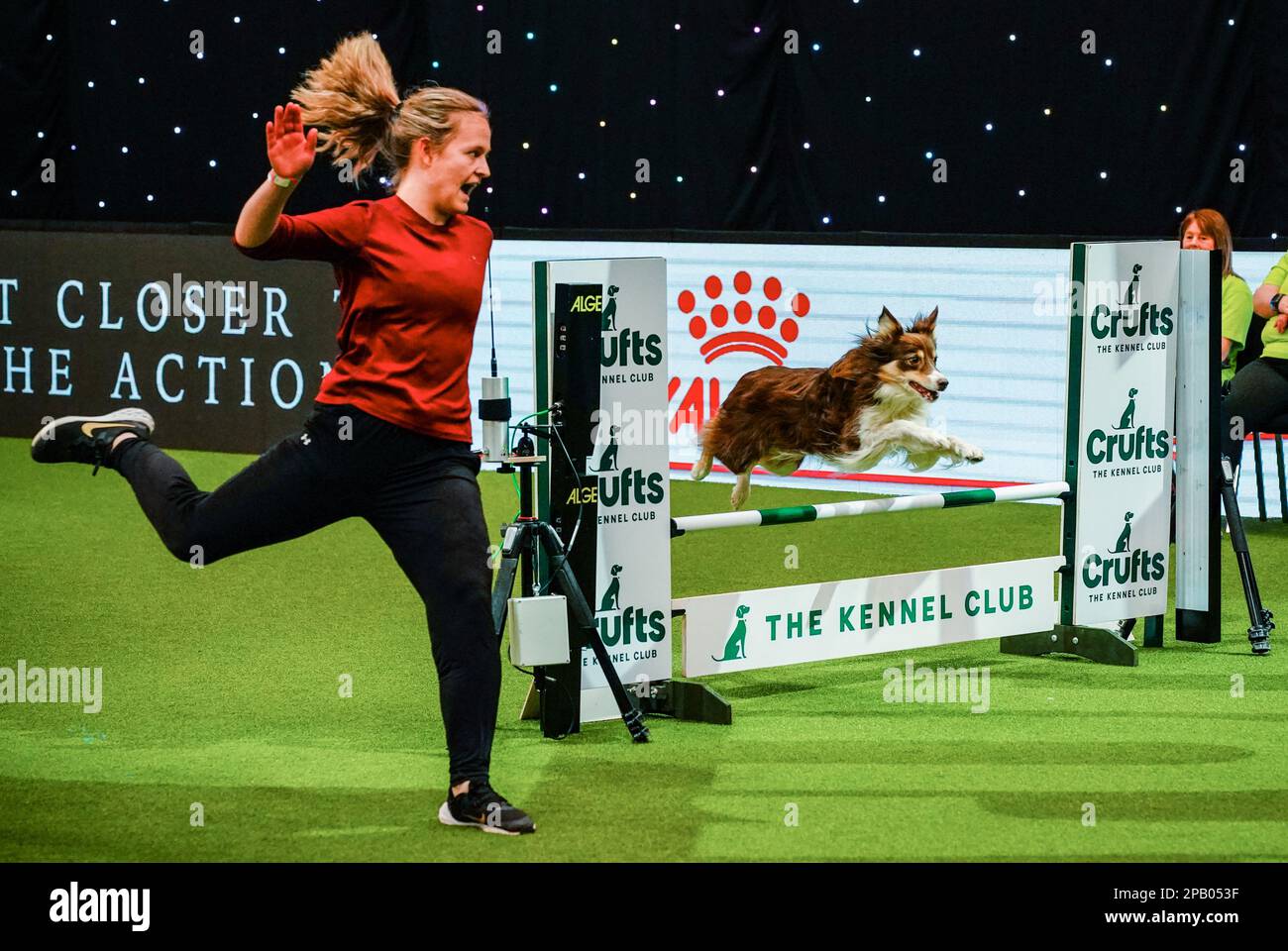 Agility dog finals hi-res stock photography and images - Alamy