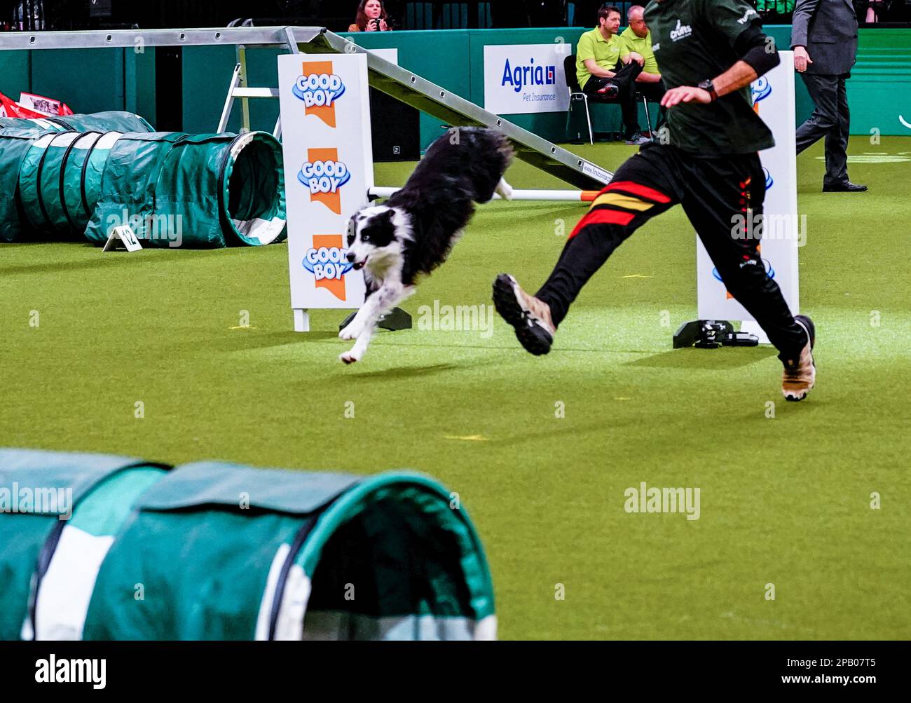 Birmingham, UK. 11th Mar, 2023. An Agility International Tournament ...