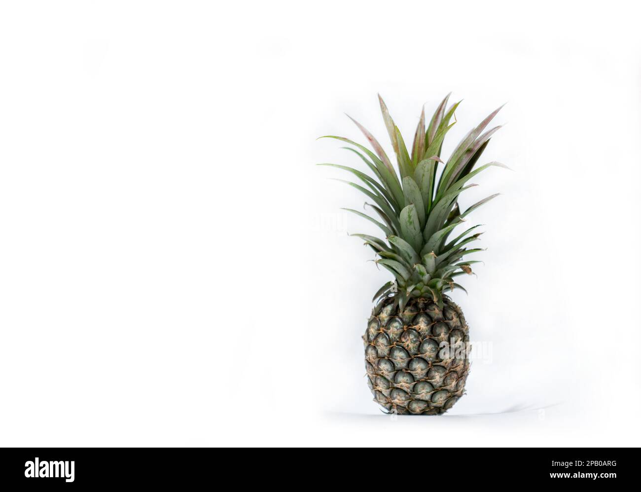 Raw pine apple with shadow isolated on white background Stock Photo - Alamy